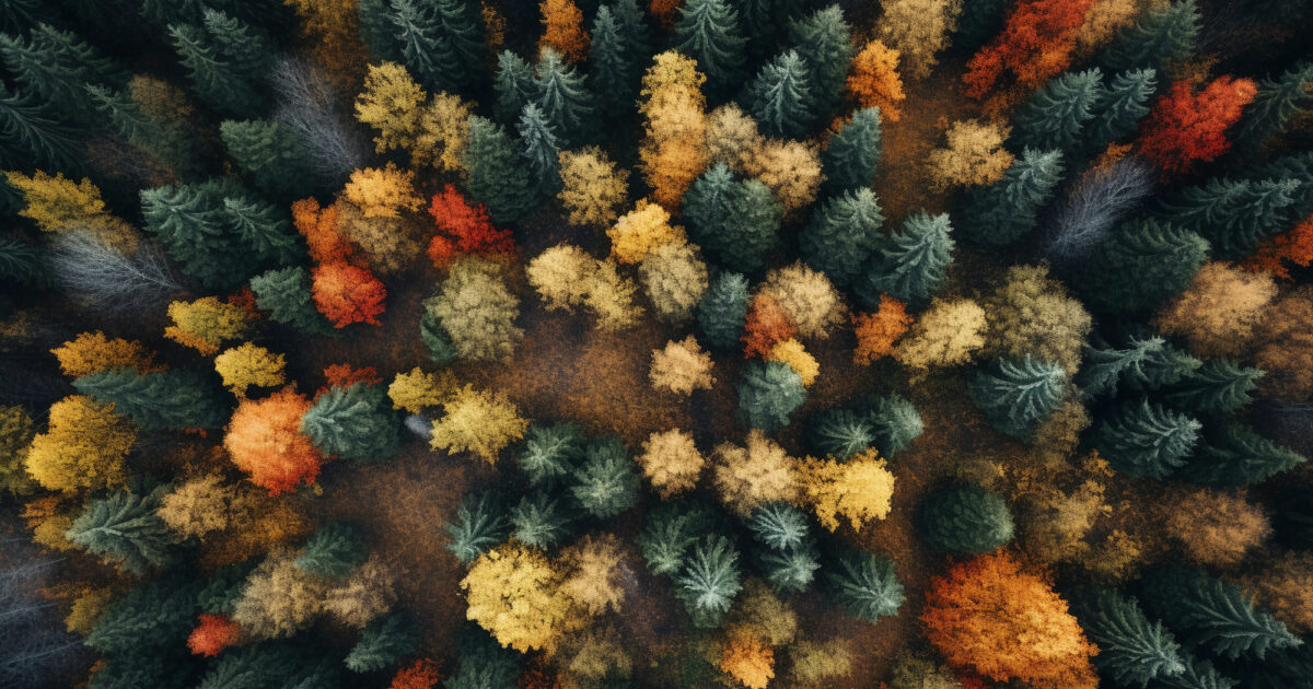 Aeterra: Environmental Sustainability and Consulting Firm